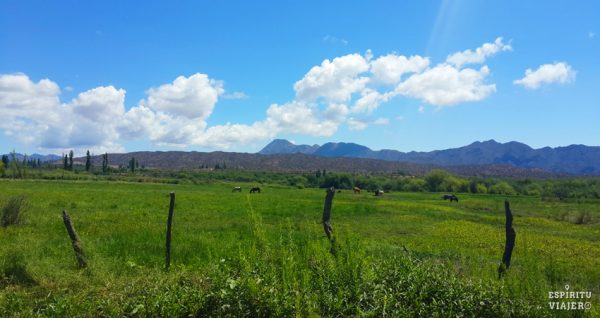 Qué ver y qué hacer en Famatina, el secreto de La Rioja