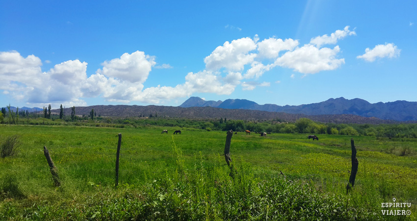 Un día en Famatina, un pueblo que lucha - Espíritu Viajero